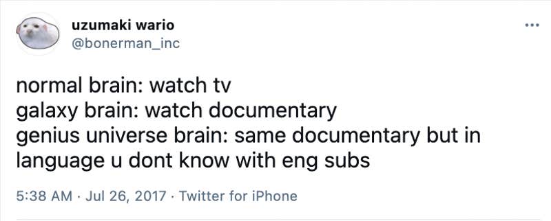 Galaxy Brain Is the Meme That Dominated Discourse in 2017