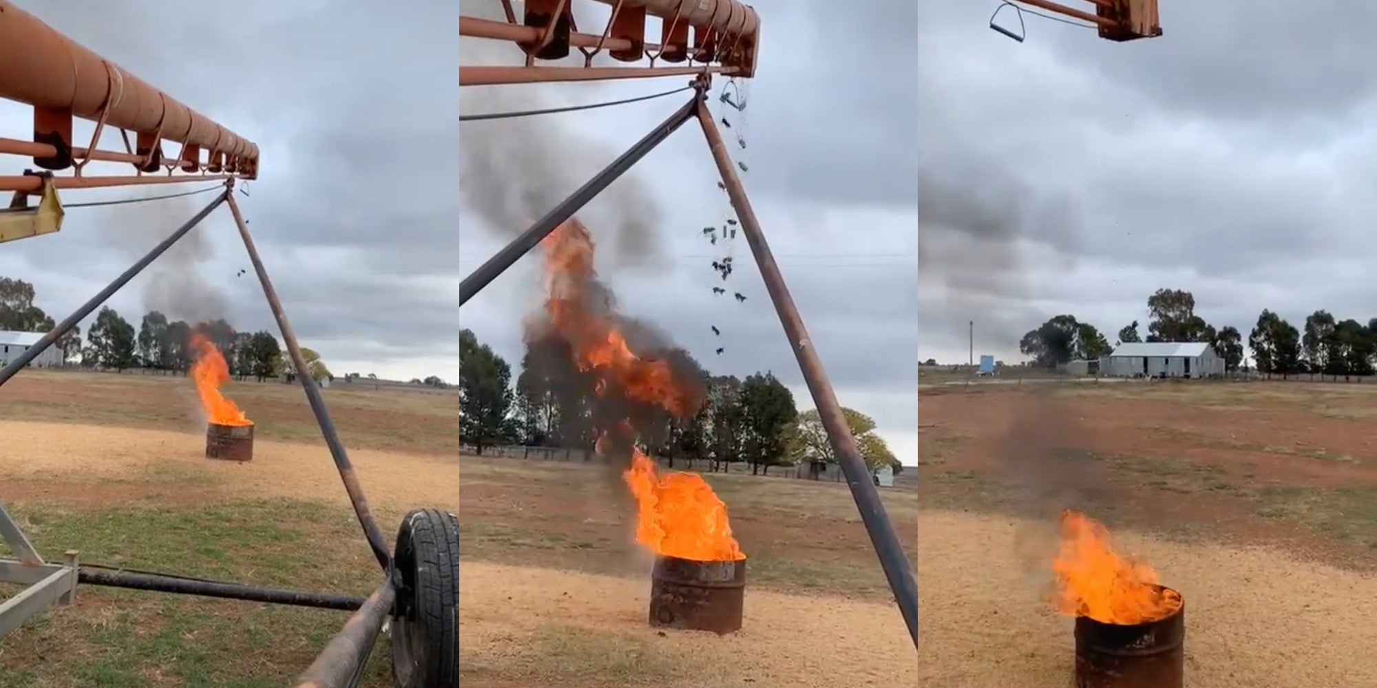 Farmer Burns Mice Alive in Viral TikTok, And Viewers Are Divided