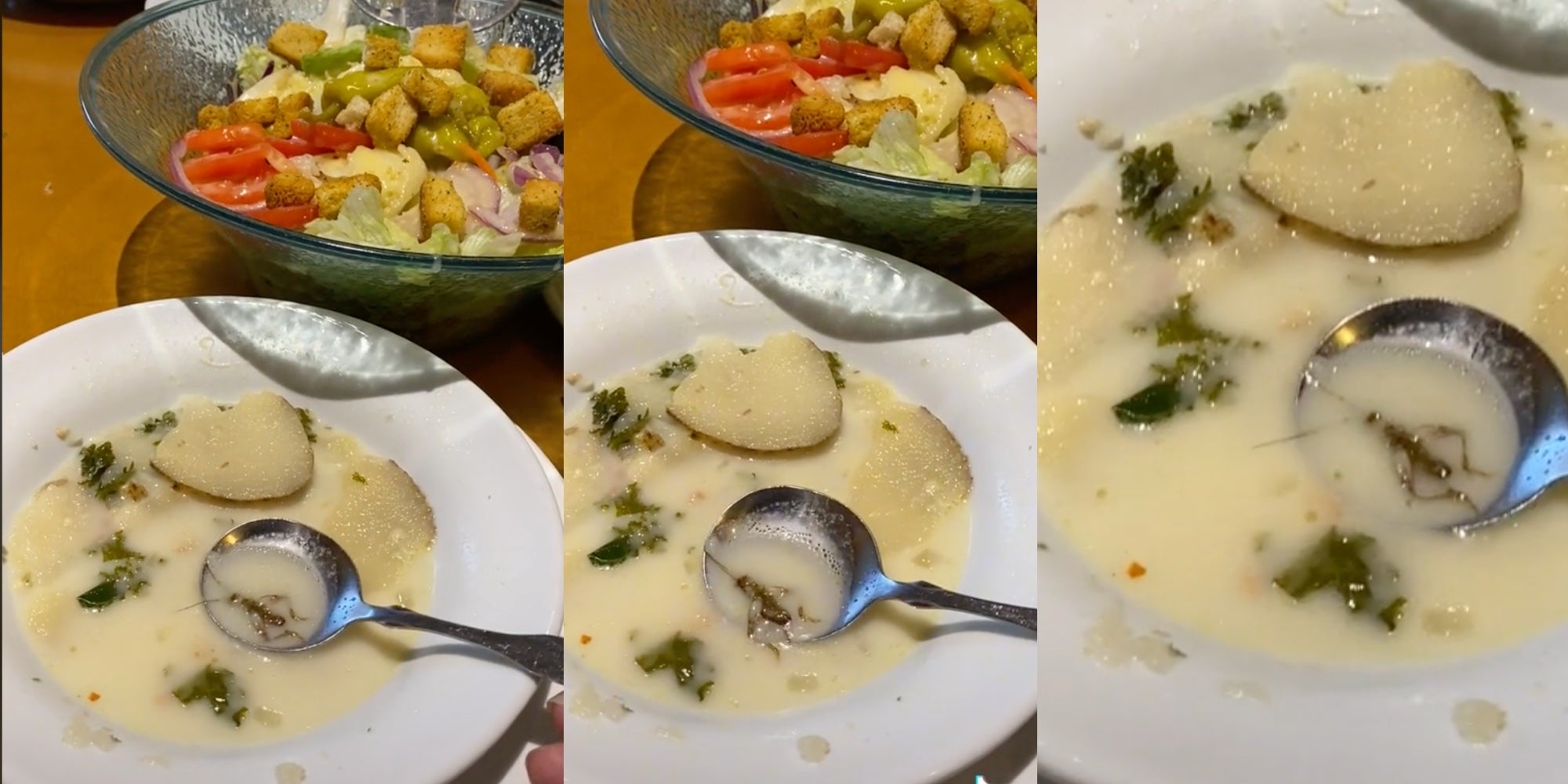 TikToker Finds Bug Floating in Soup at Olive Garden