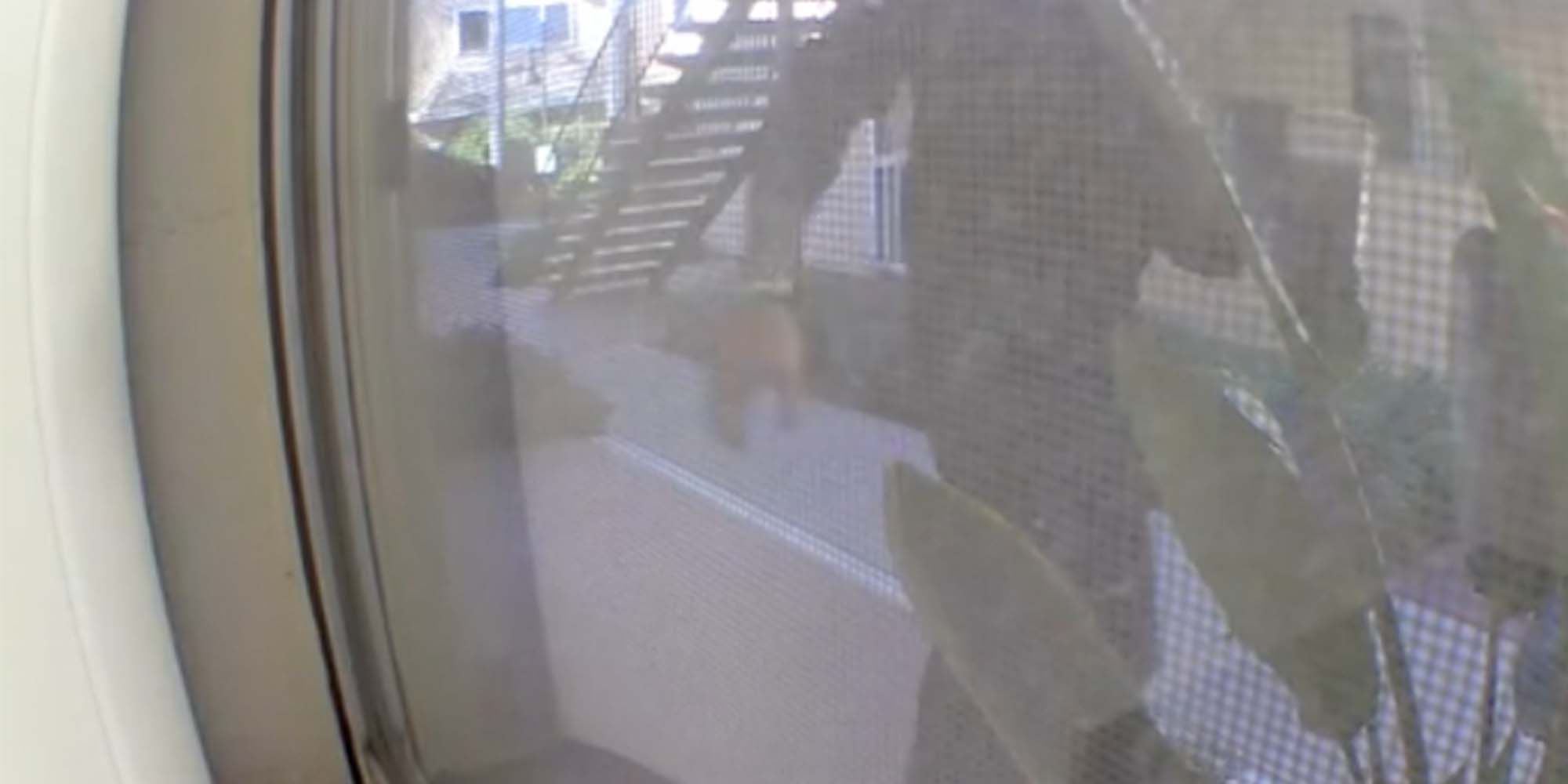 TikToker Alleges a FedEx Worker Stole Their Package