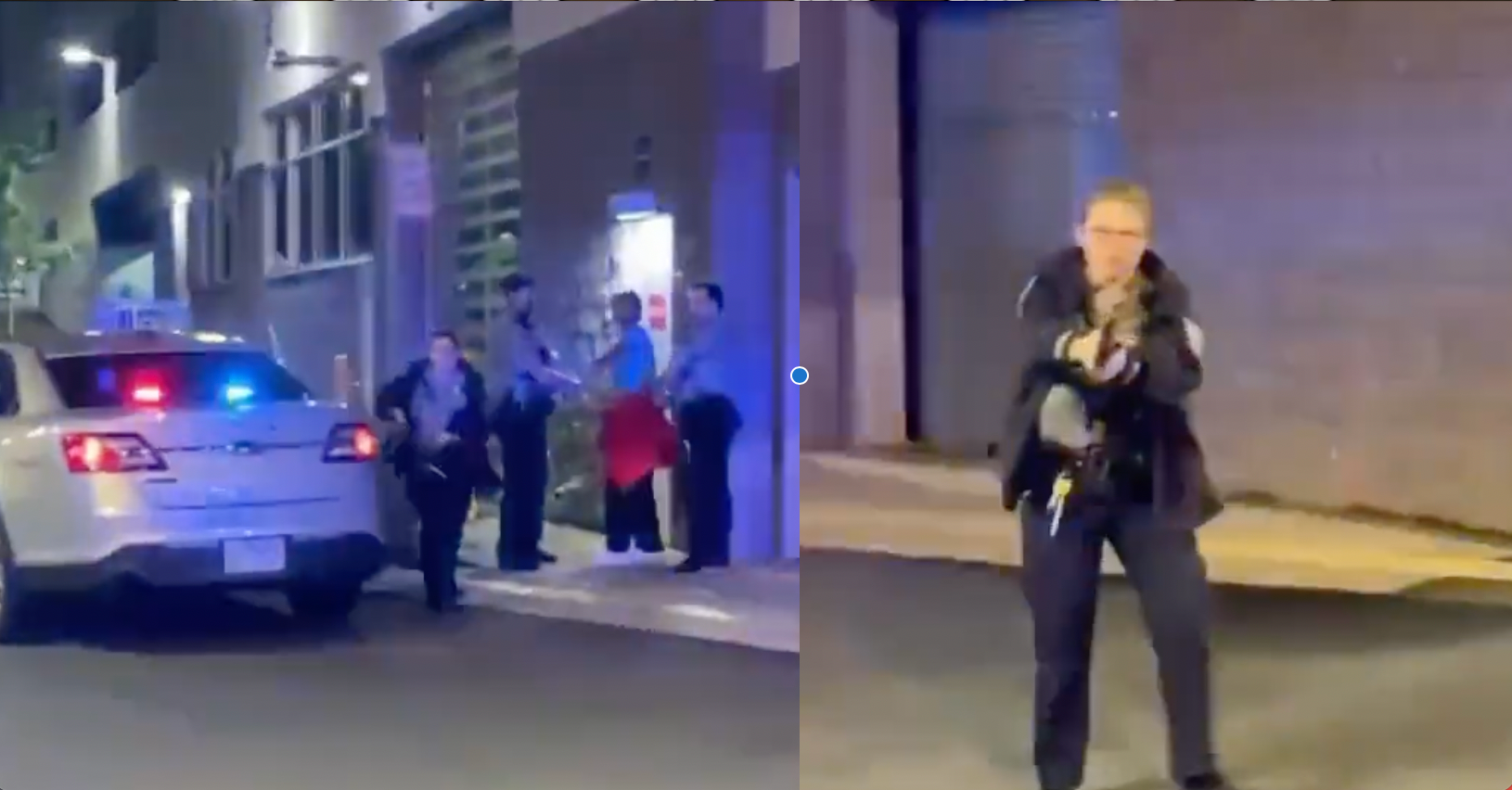 Cops Point Guns At Person Filming Them Detain Someone