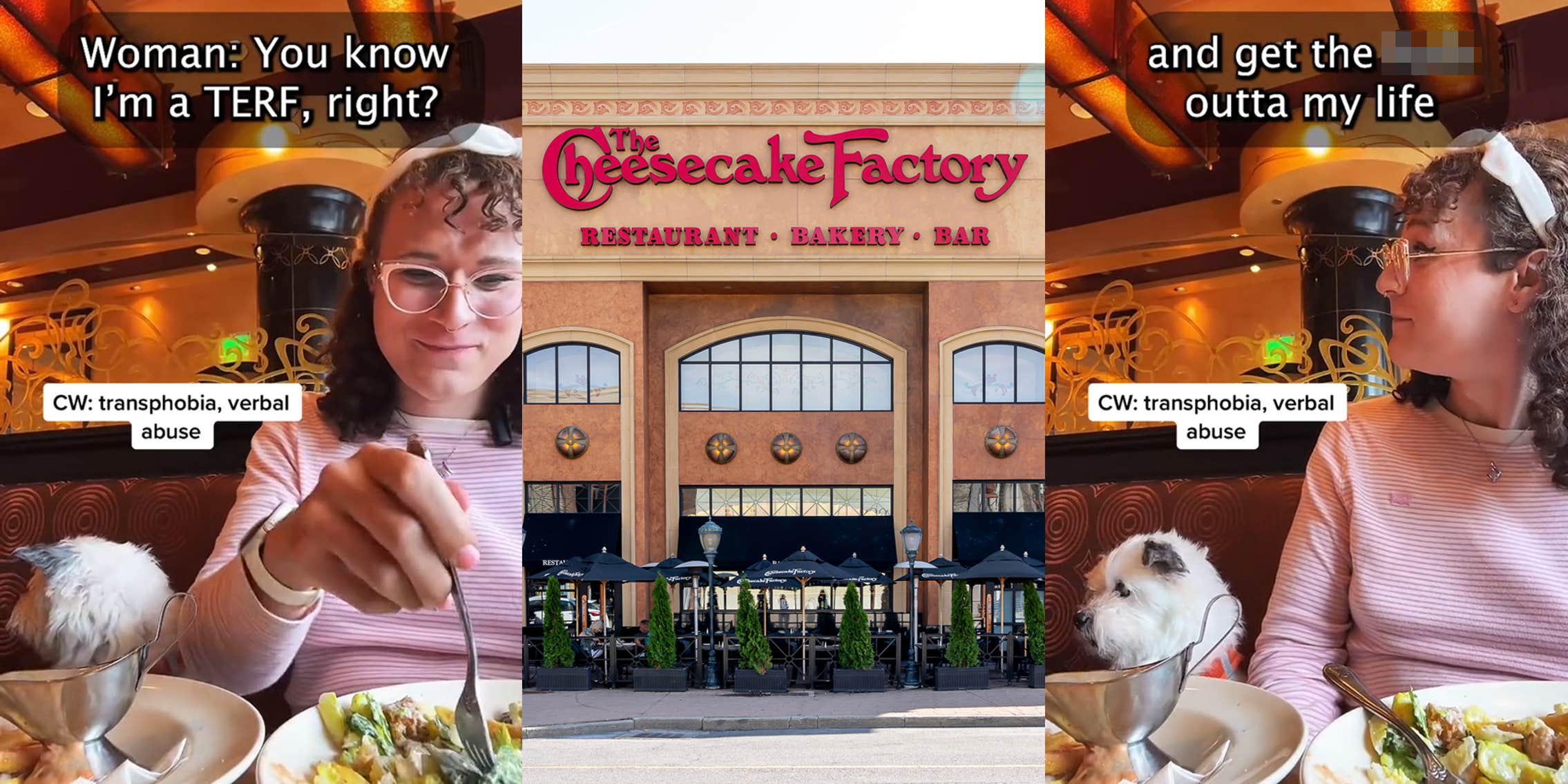 TERF Harasses Trans Woman At Cheesecake Factory terf-harasses-trans-woman-at-cheesecake-factory