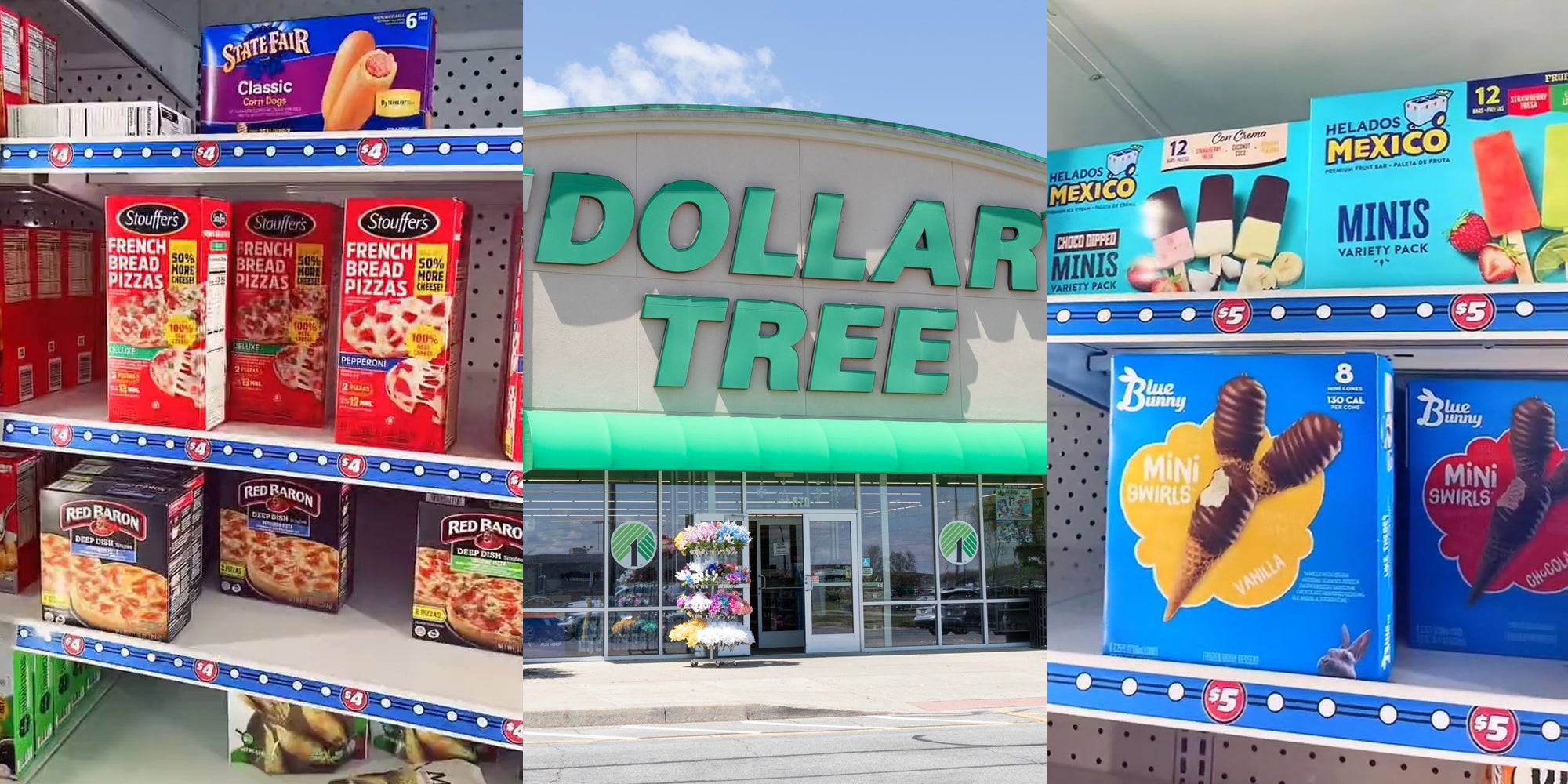 Dollar Tree Customer Calls $3, $4, and $5 Freezer Items ‘Bittersweet'