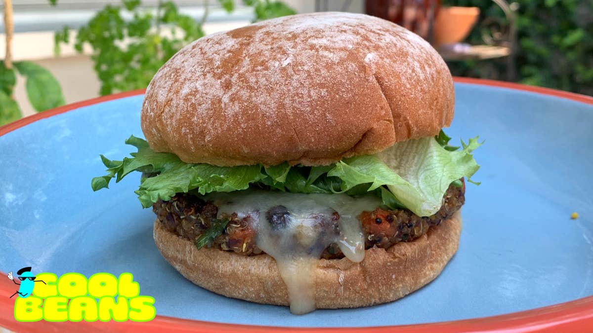 Daily Dot Newsletter: Tape And Tarp Hold Plane Together