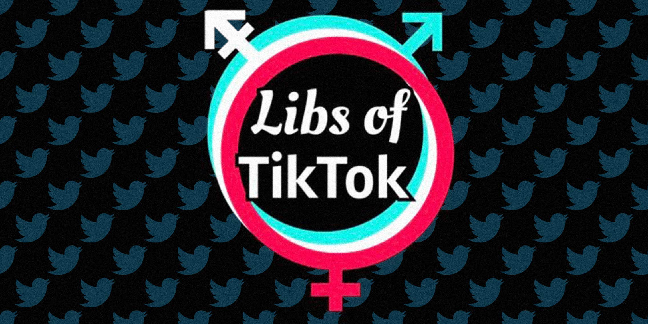 Libs Of Tiktok Twitter Shadowbanned For Dick Pics