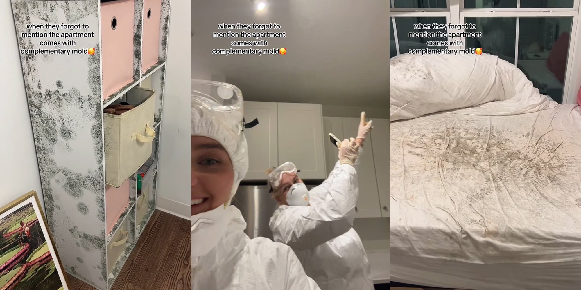 A Creator Shows Herself Touring Mold-Infested Apartment