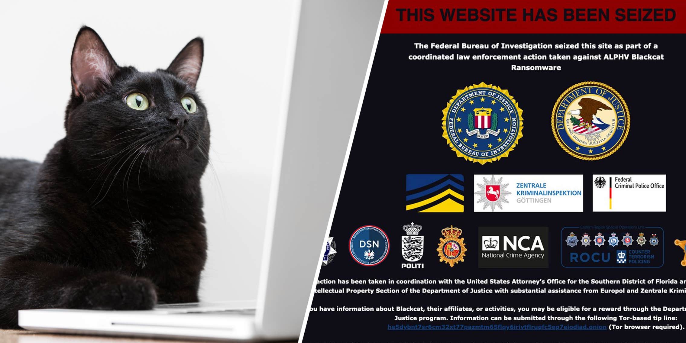 Authorities Seize Dark Web Site From Ransomware Gang ALPHV Authorities Seize Dark Web Site From Ransomware Gang ALPHV