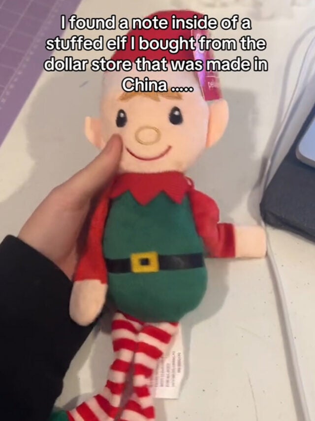 Woman Finds Hidden Note in a Dollar Store Stuffed Elf