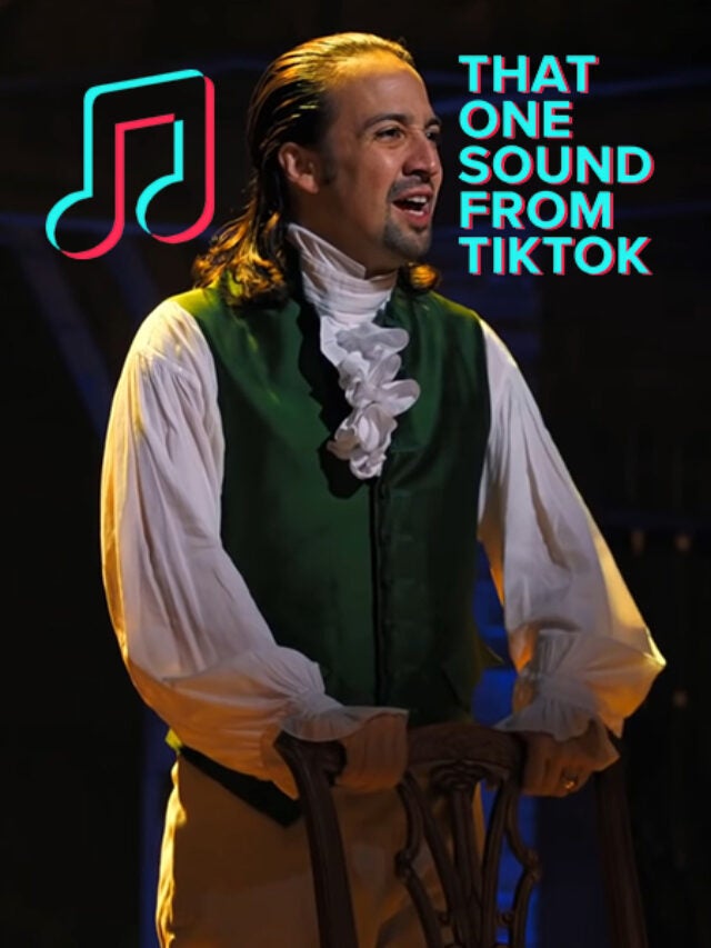 TikTok Uses A ‘Hamilton’ Song To Document Weird Pet Behavior