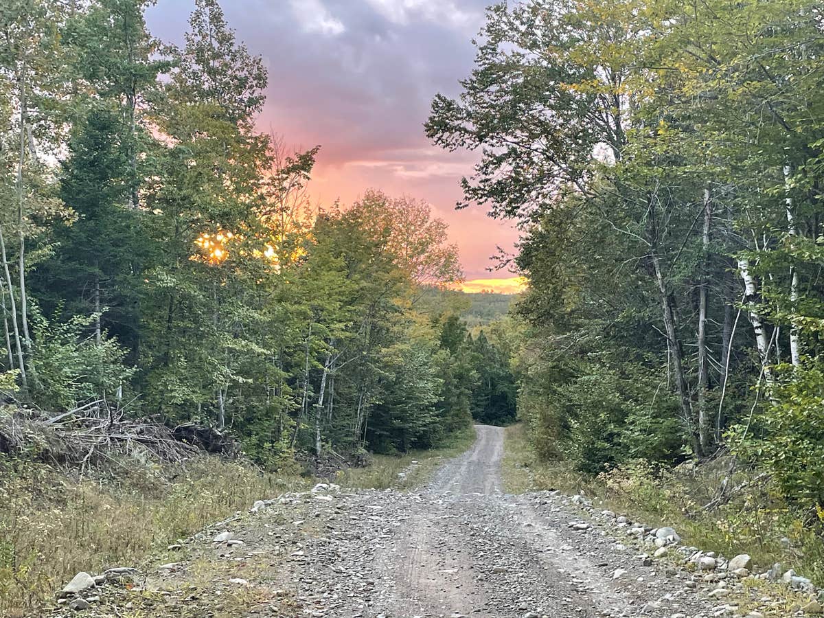 Chris Pohlhaus and the Blood Tribe: The Neo-Nazis Up the Road