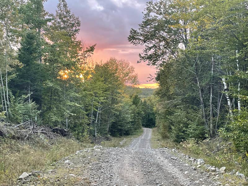 Chris Pohlhaus and the Blood Tribe: The Neo-Nazis Up the Road