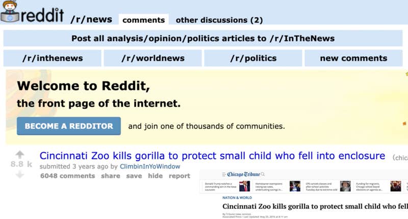 Harambe Meme: The History And Memes Of Harambe The Gorilla