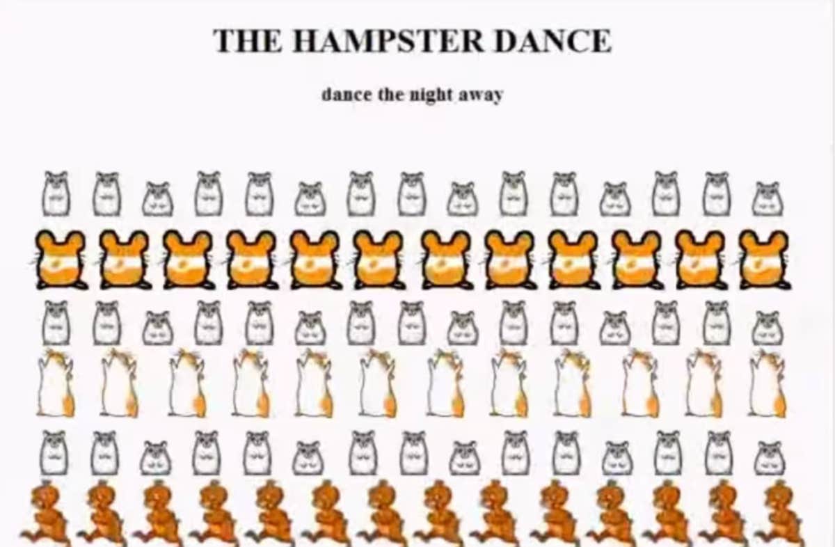 Hamster Memes: The History and Origins of the Adorable Memes