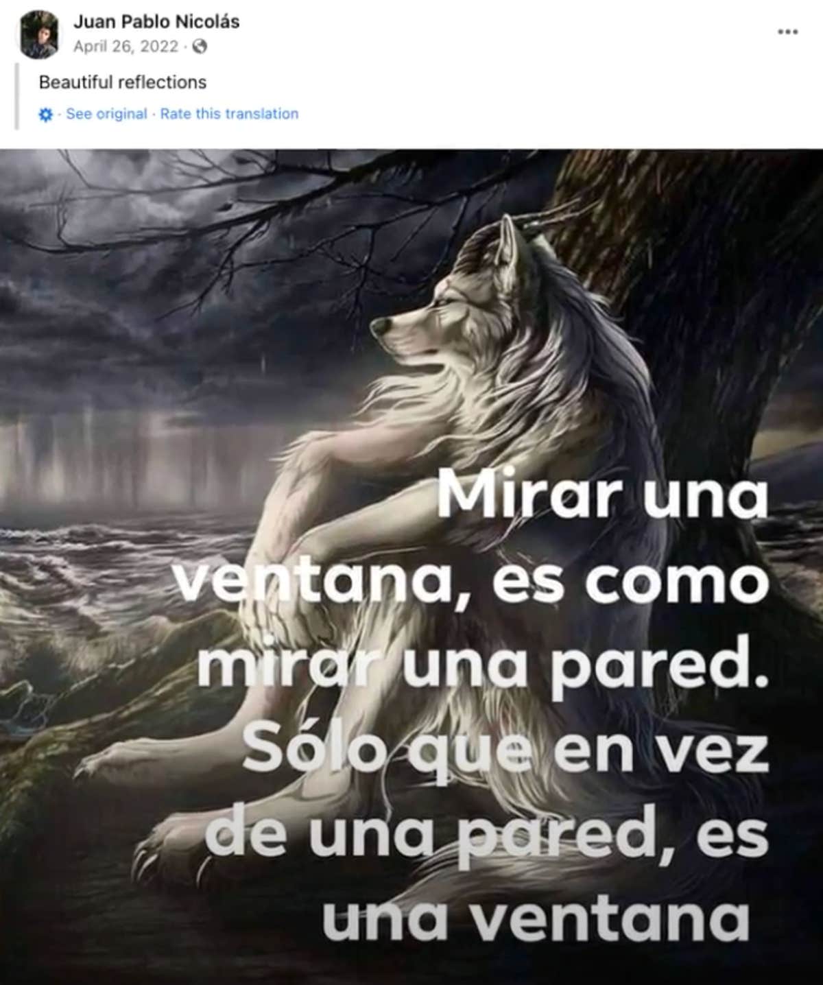 Wolf Memes: The History From Courage Wolf to Emo Wolves