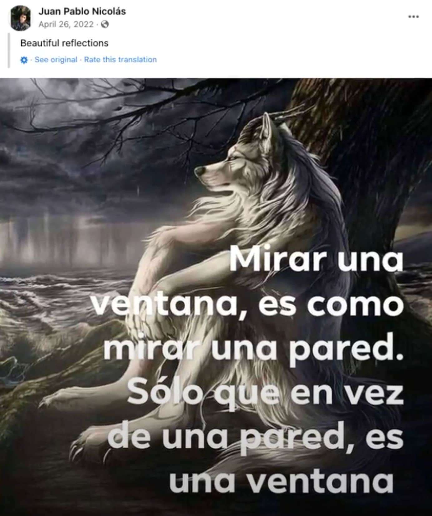 Wolf Memes: The History From Courage Wolf to Emo Wolves