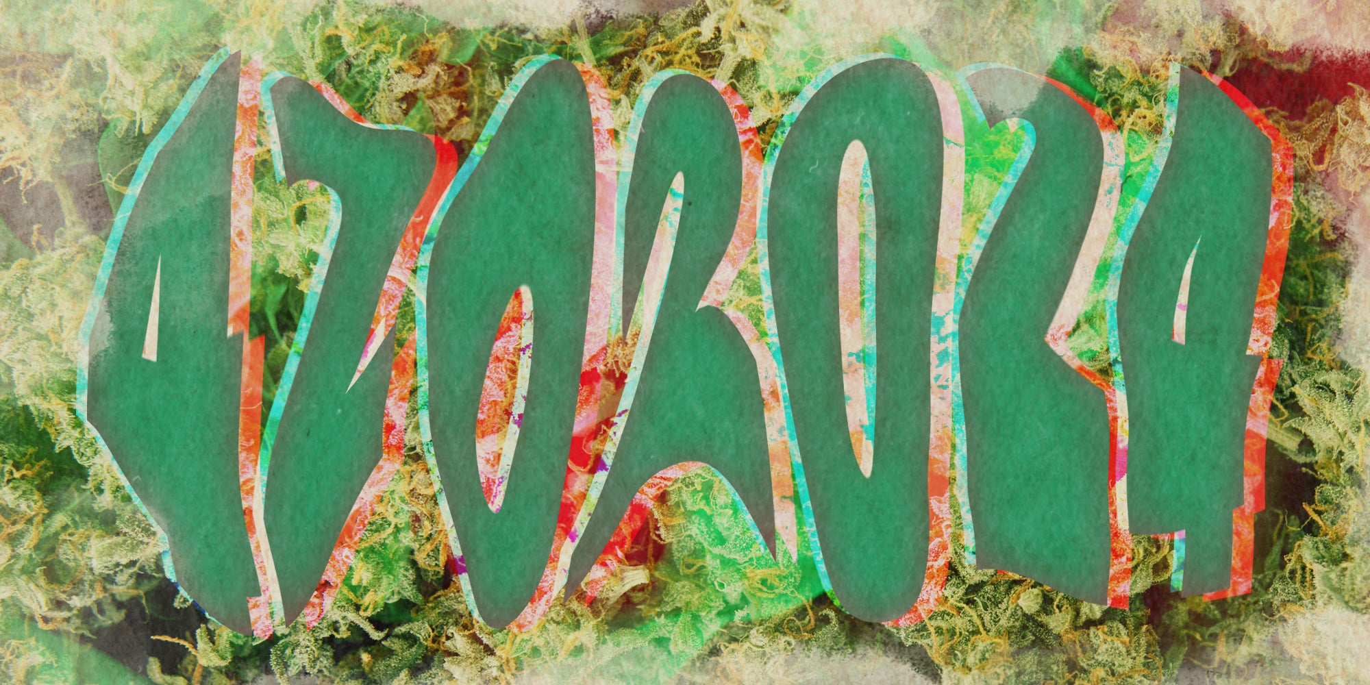 Palindrome Day 2024: April 20th Is More Than A Stoner Holiday Palindrome Day 2024: April 20th Is More Than A Stoner Holiday
