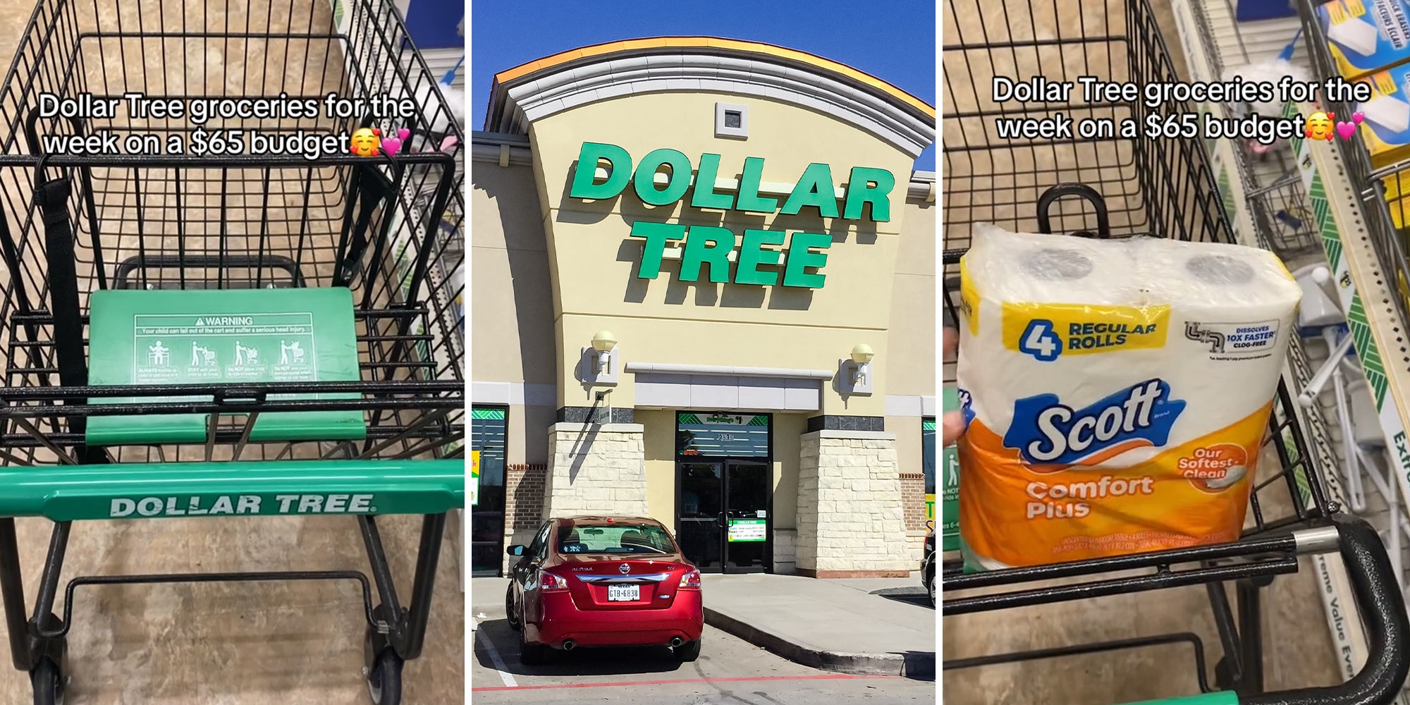 Shopper Makes Full Grocery Run at Dollar Tree for $65