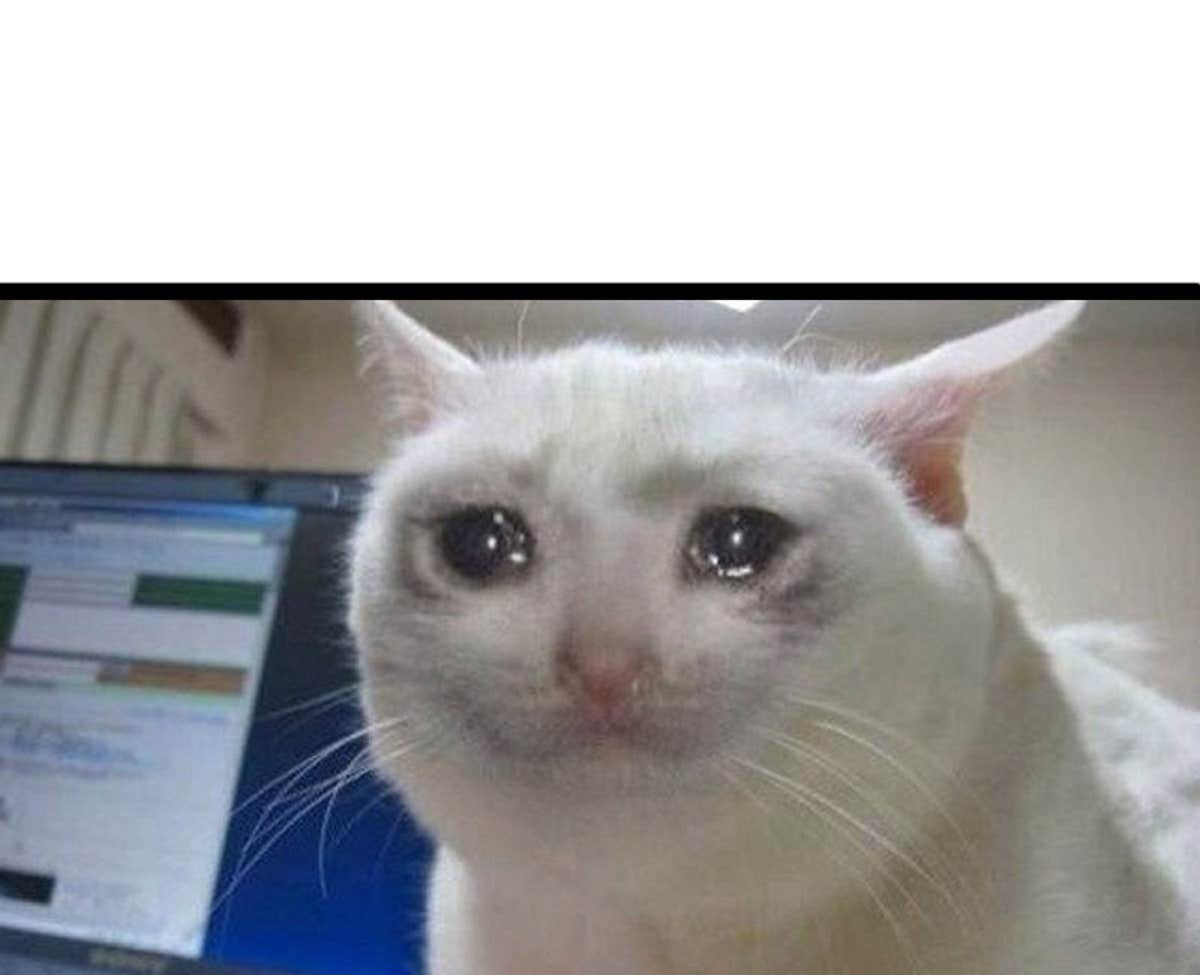 Where Did The Crying Cat Meme Come From?