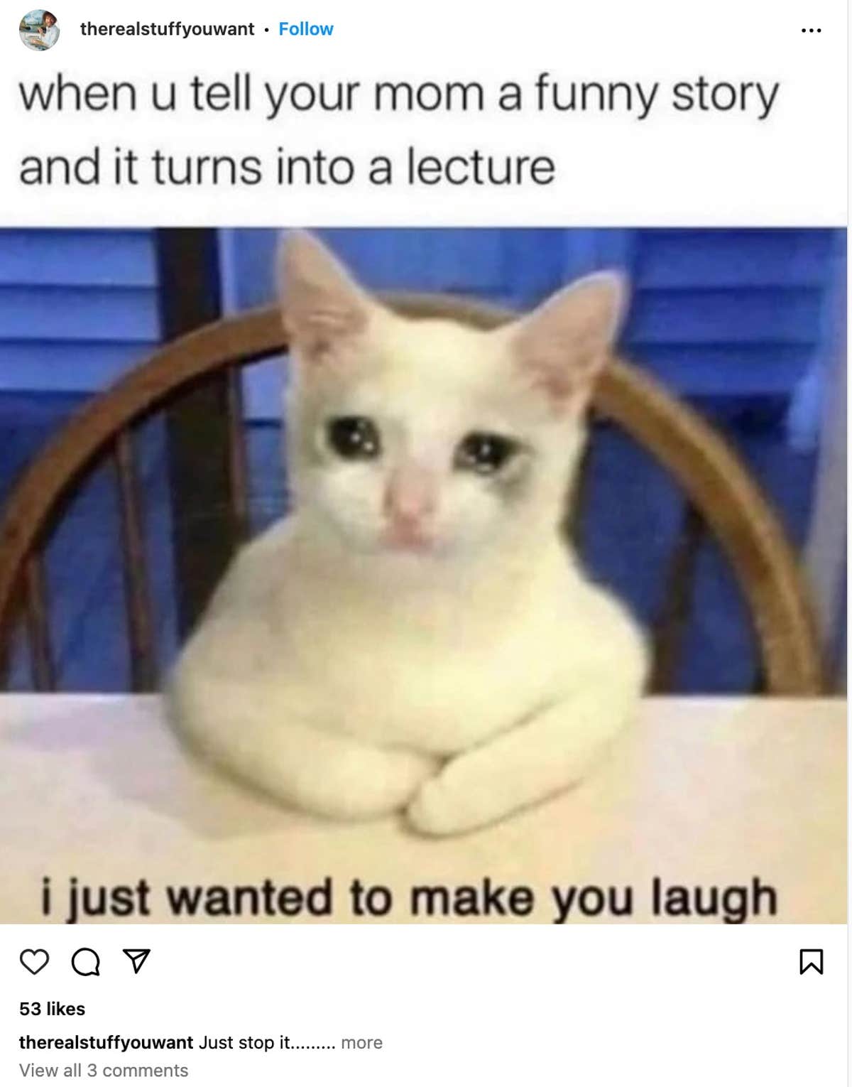 Where Did The Crying Cat Meme Come From?