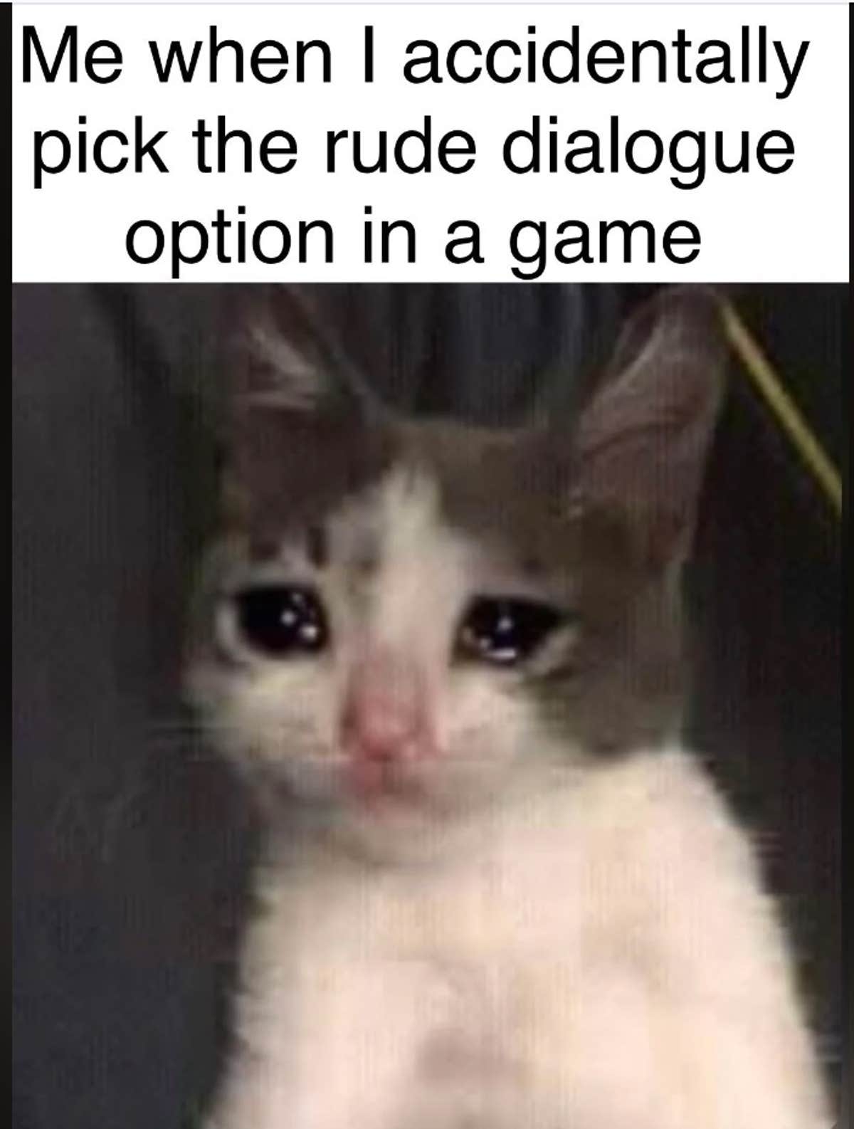Where Did The Crying Cat Meme Come From?