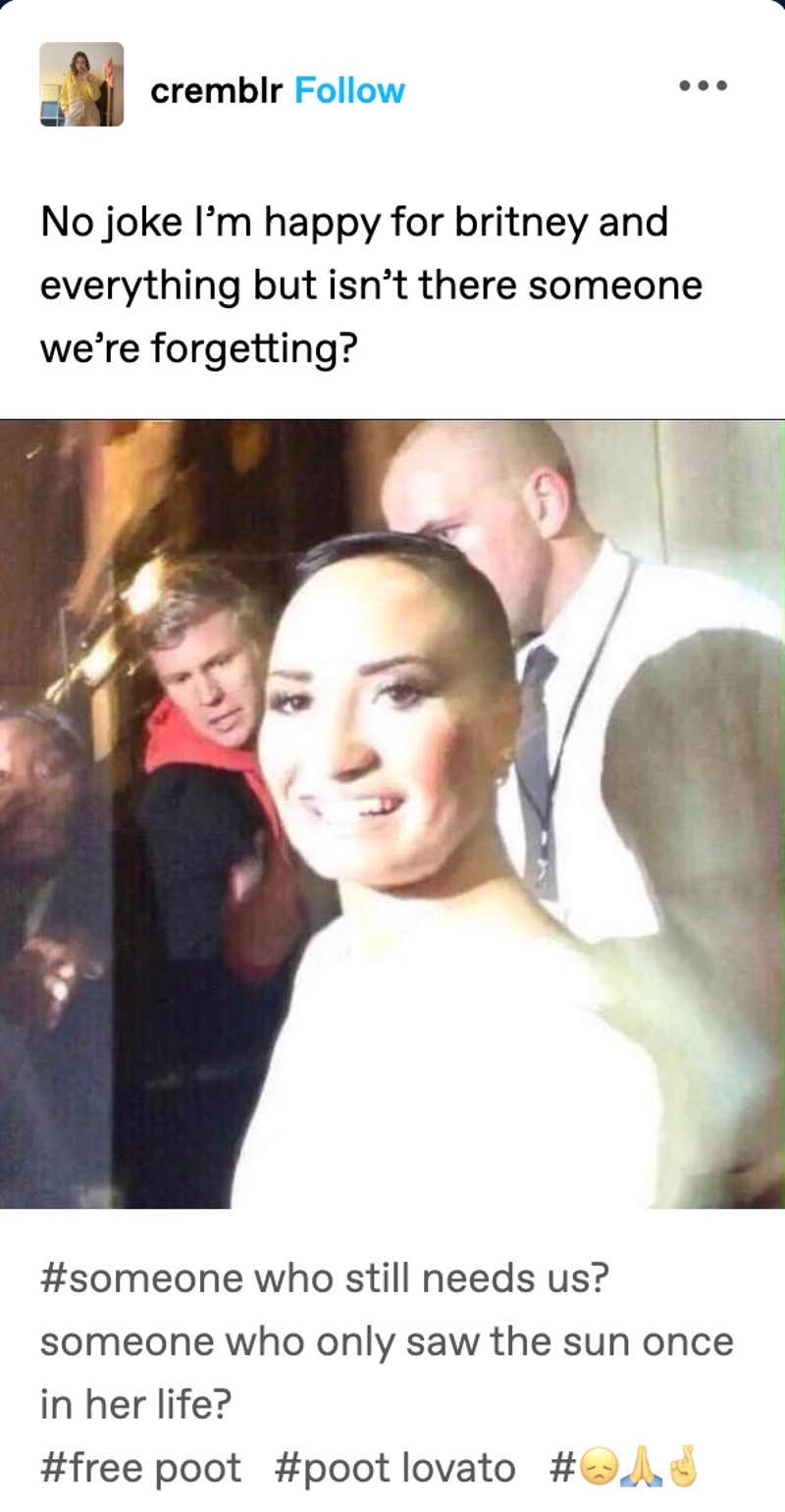 Poot Lovato Meme: Everything You Need to Know