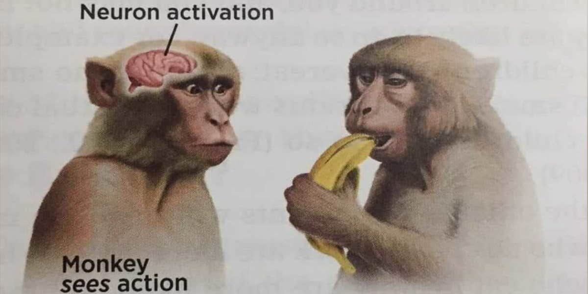 The Story Behind the Neuron Activation Meme