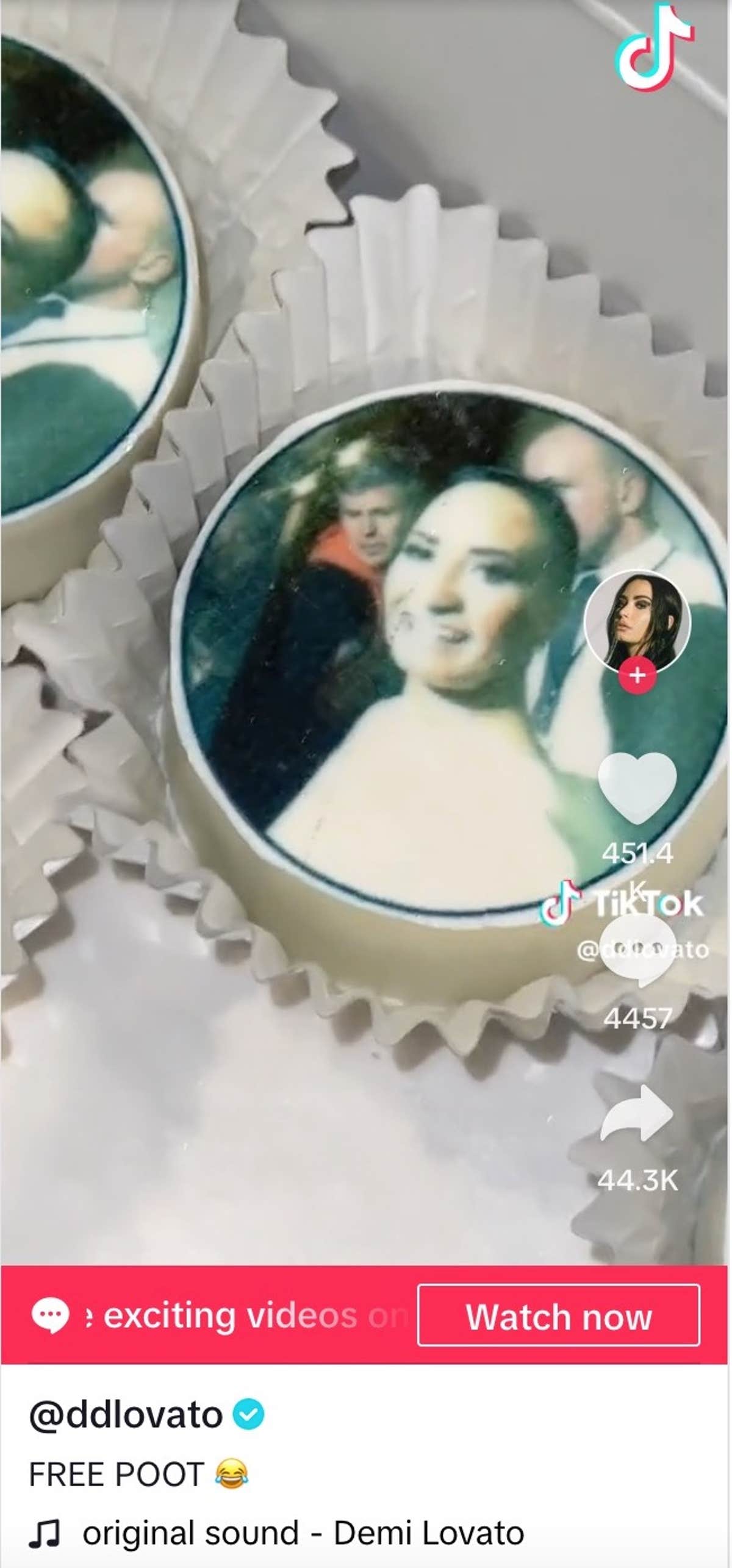 Poot Lovato Meme: Everything You Need to Know