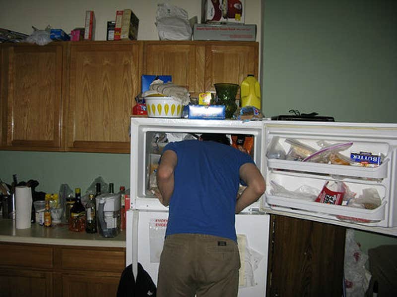 What Is 241543903, Or The Heads In Freezers Meme?