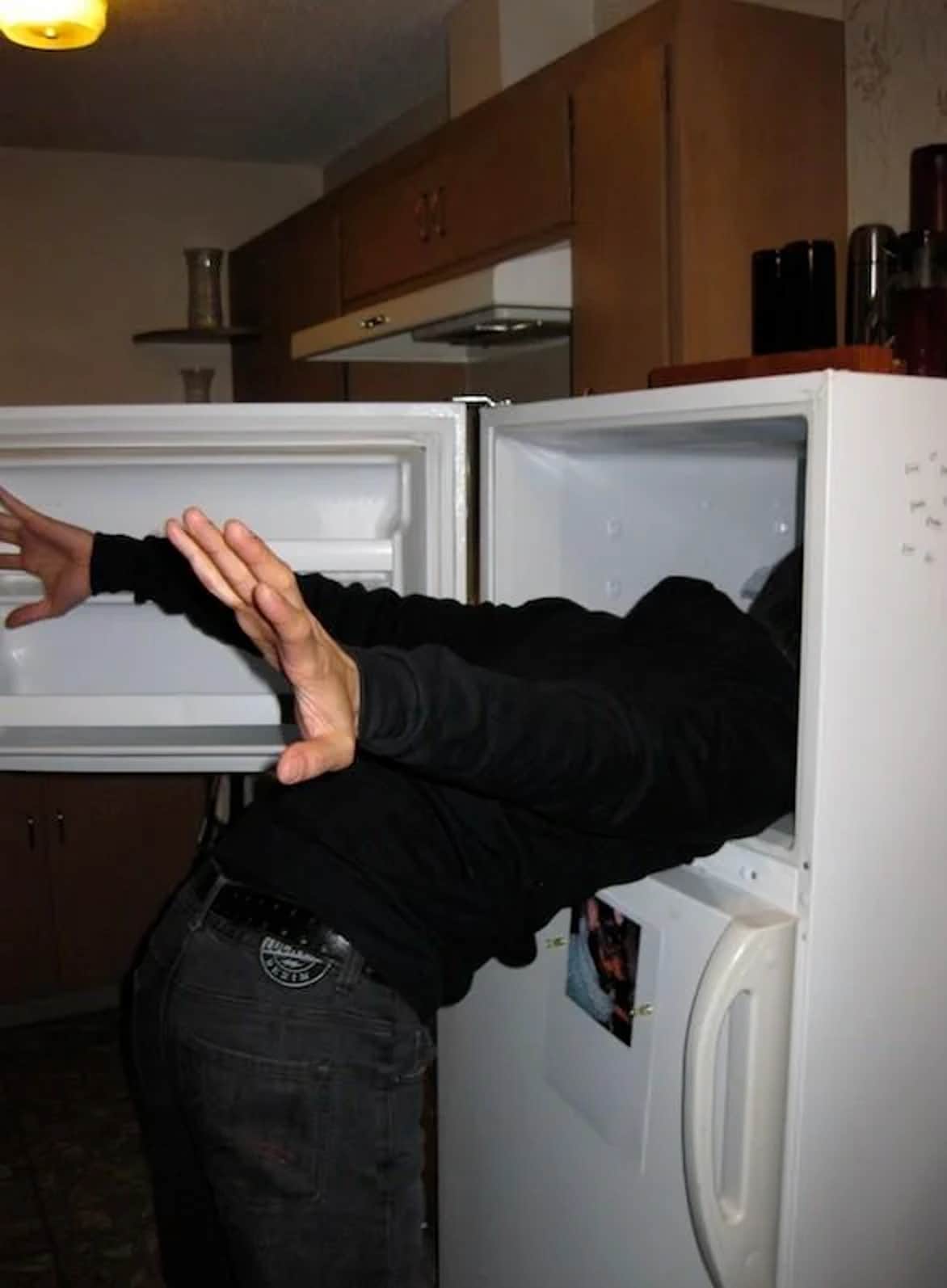 What Is 241543903, Or The Heads In Freezers Meme?