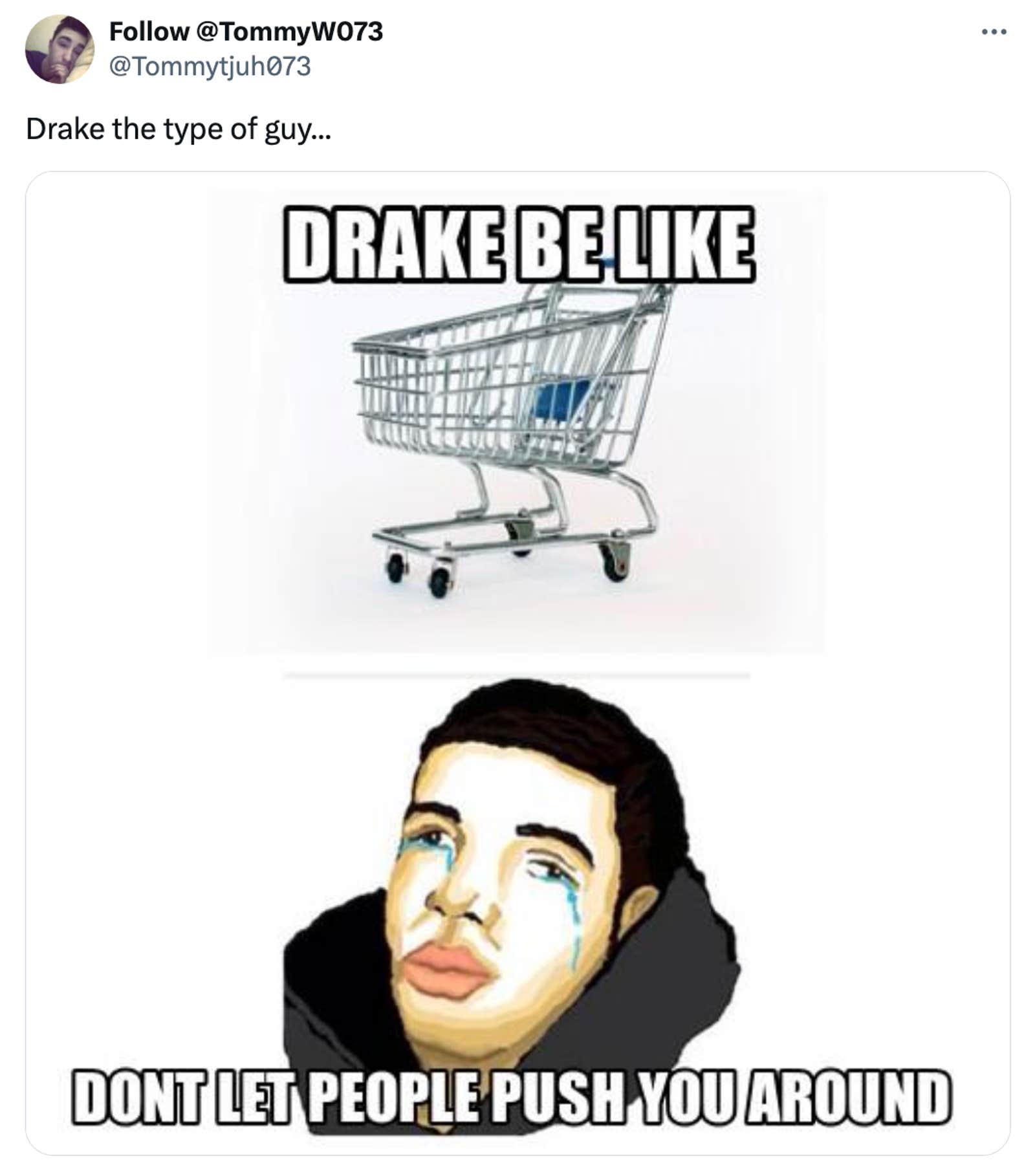 Drake The Type Of Guy Meme, Explained