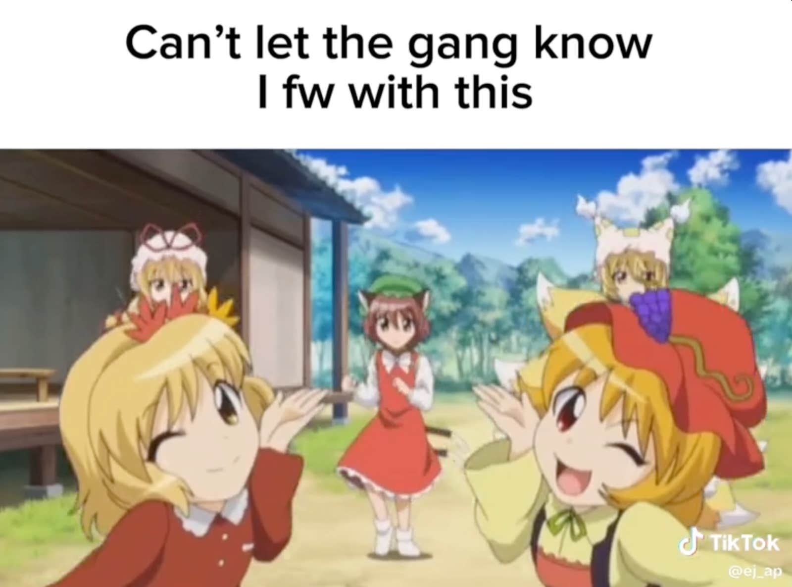 The Can't Let Gang Know I FW This Meme, Explained