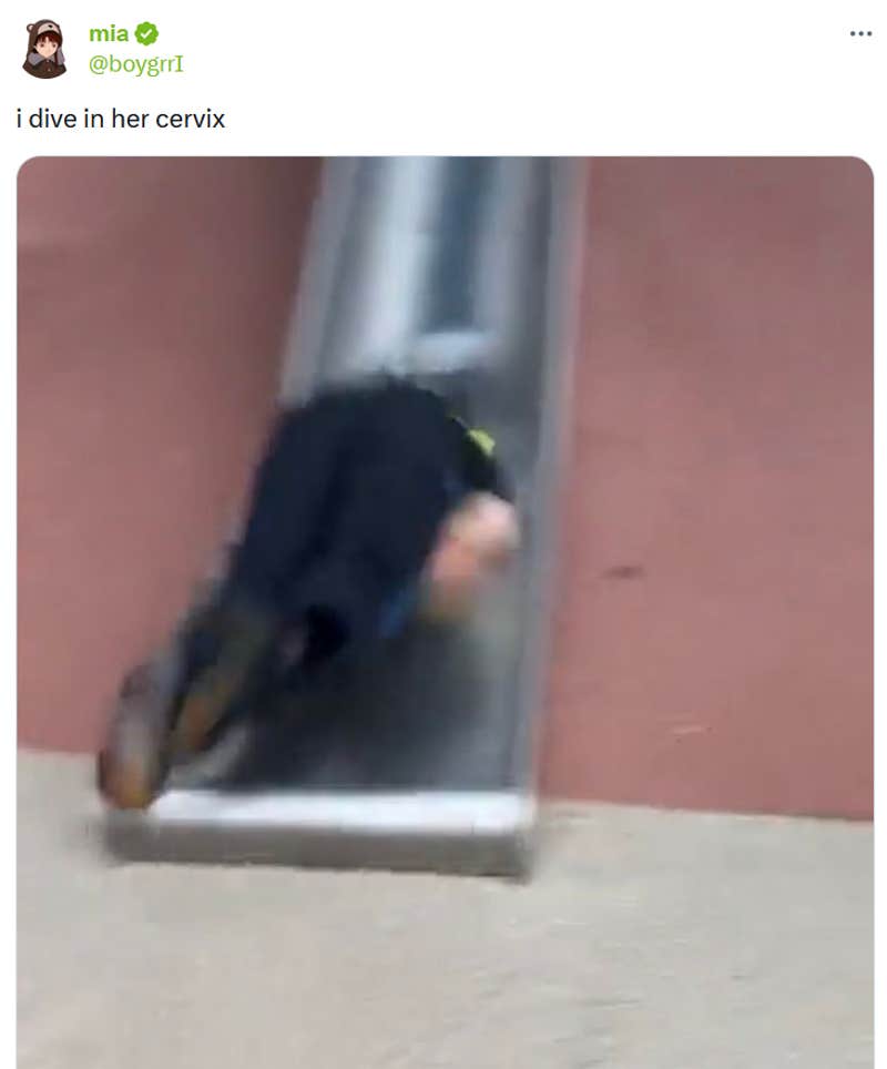I Dive In Her Cervix Meme: A History