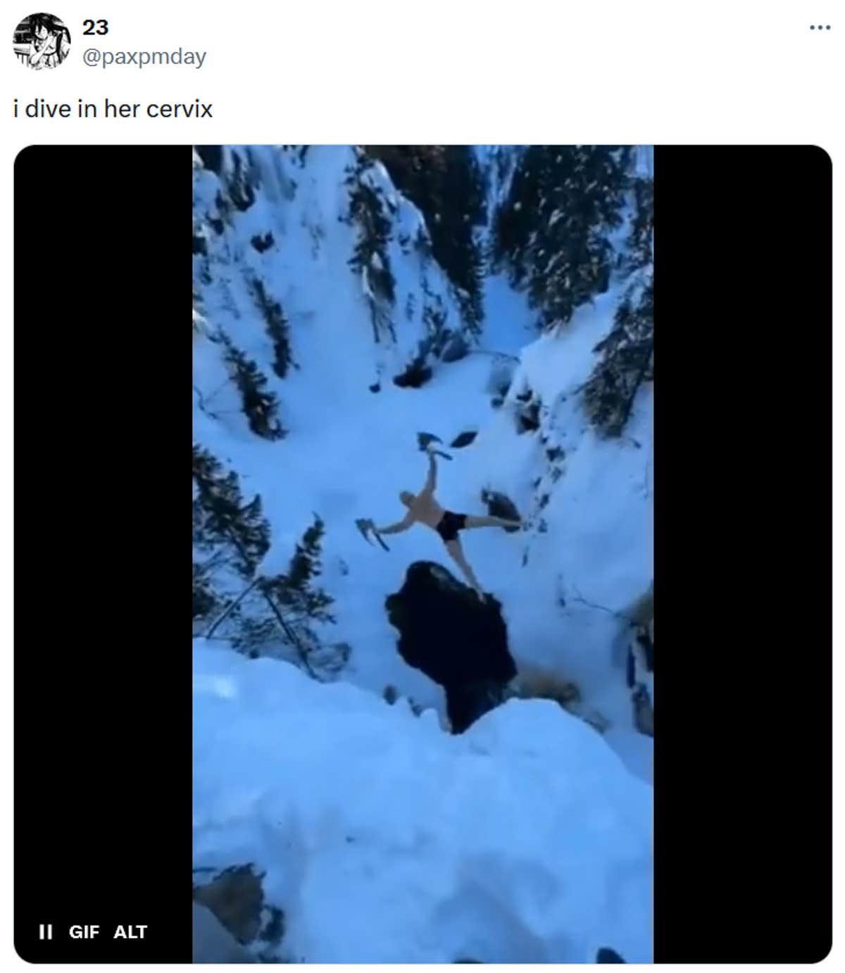 I Dive In Her Cervix Meme: A History