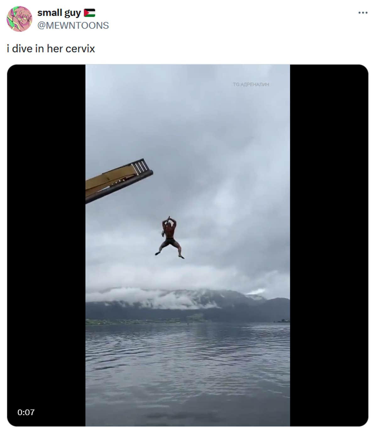 I Dive In Her Cervix Meme: A History