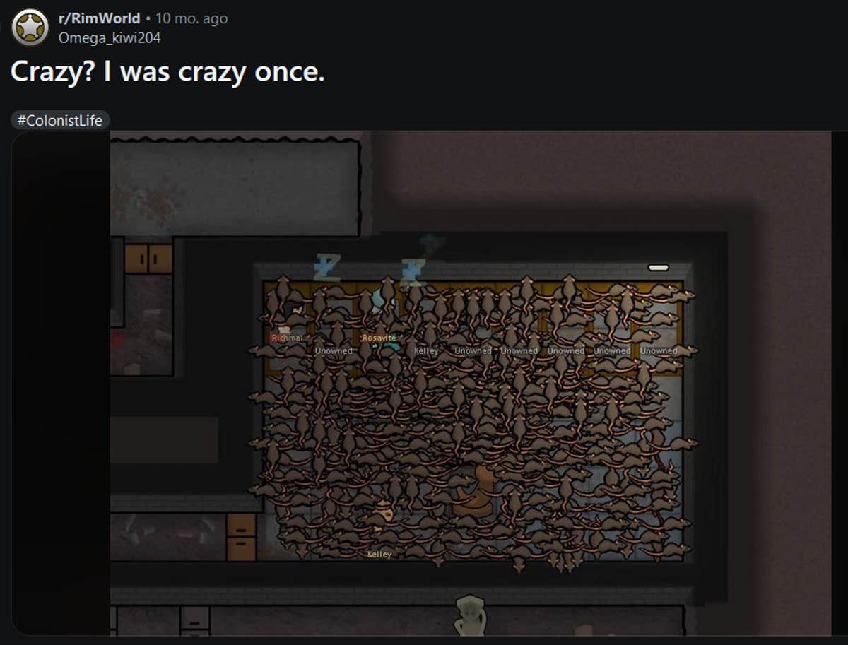 'Crazy? I Was Crazy Once' Meme History