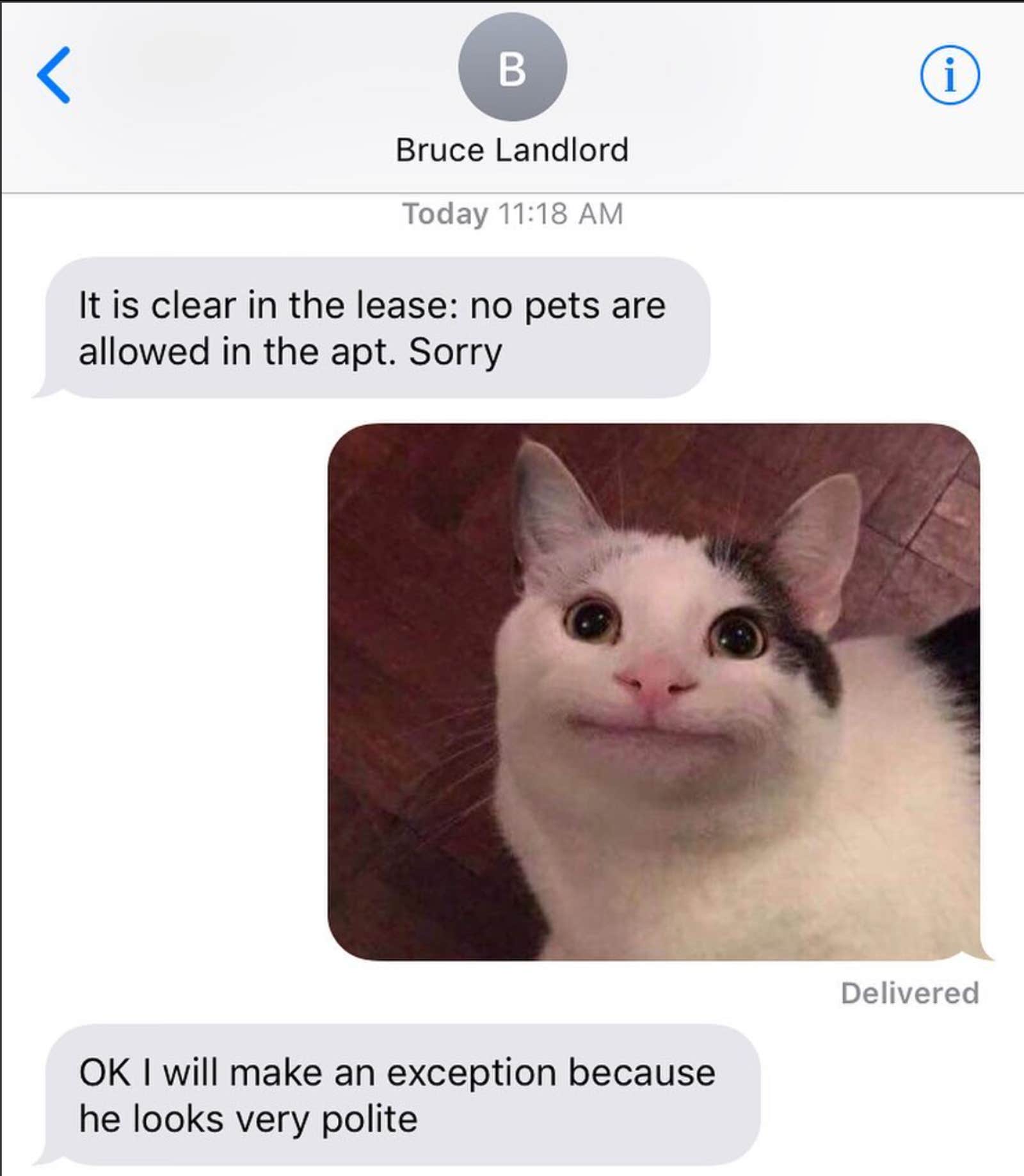 Polite Cat Meme: Is This Viral Image of a Cat Real or Fake?