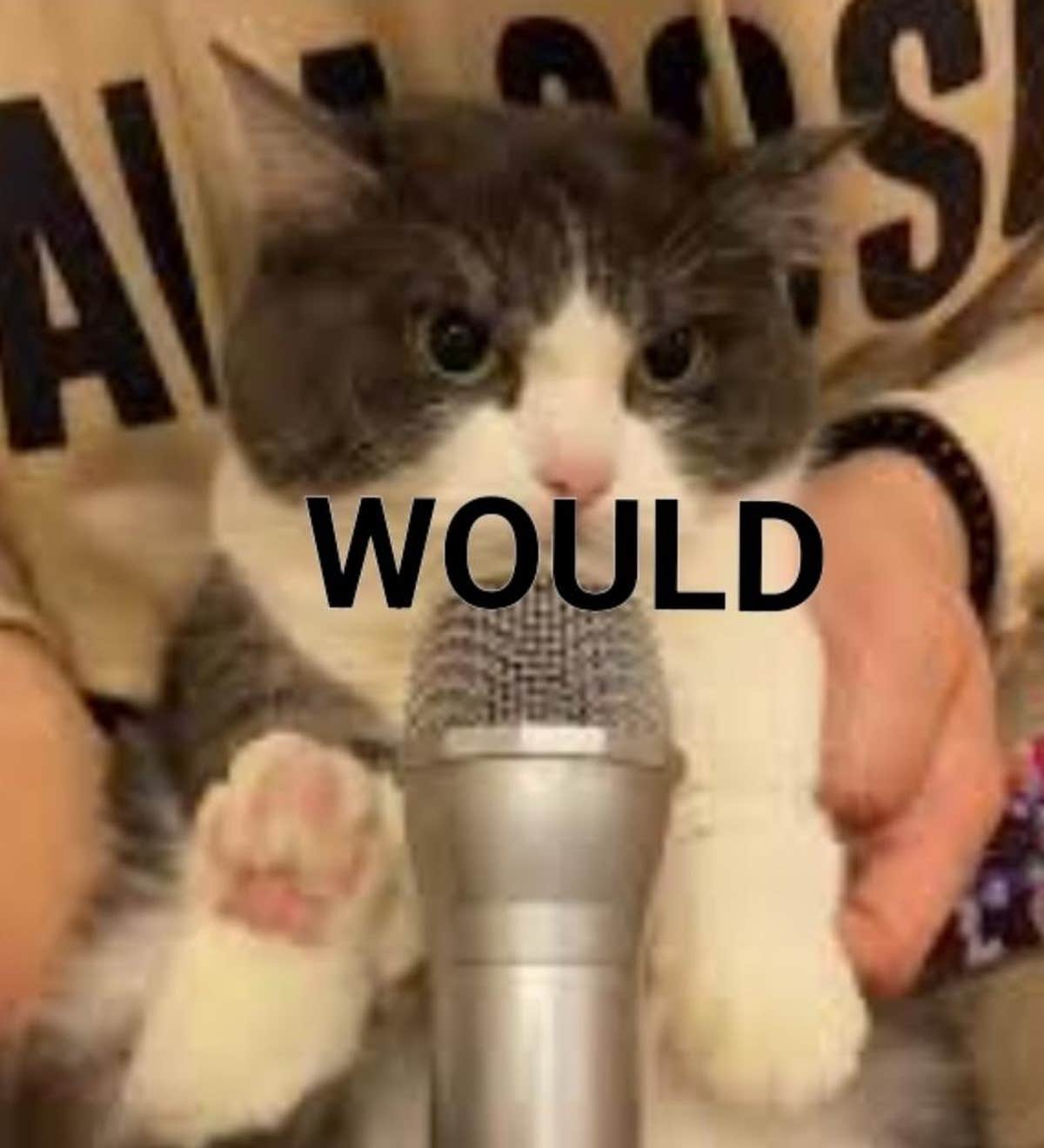 What Is The "Would" Meme And Why Is It Everywhere?