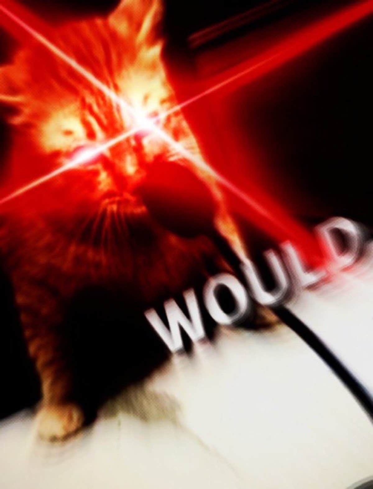 What Is The "Would" Meme And Why Is It Everywhere?