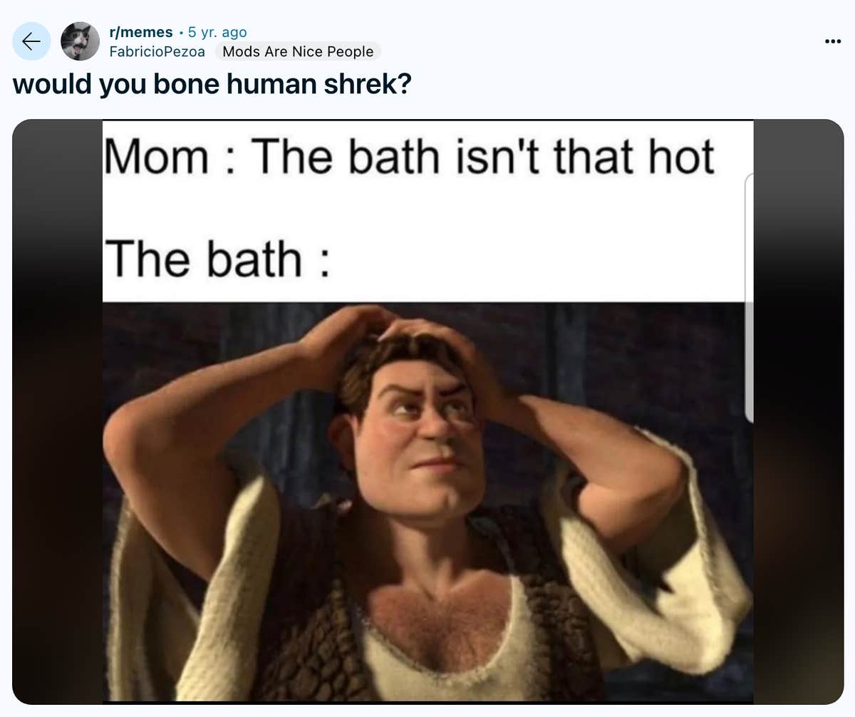 Human Shrek Is Too Beautiful For This World