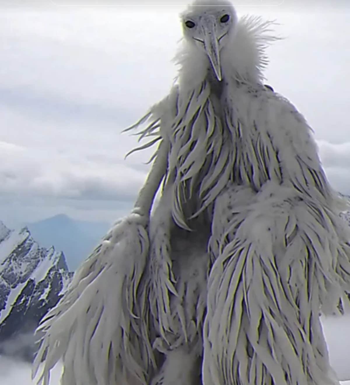 Erosion Bird: What Is It And Where Did It Come From?