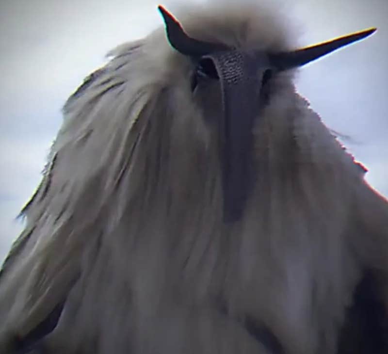 Erosion Bird: What Is It And Where Did It Come From?