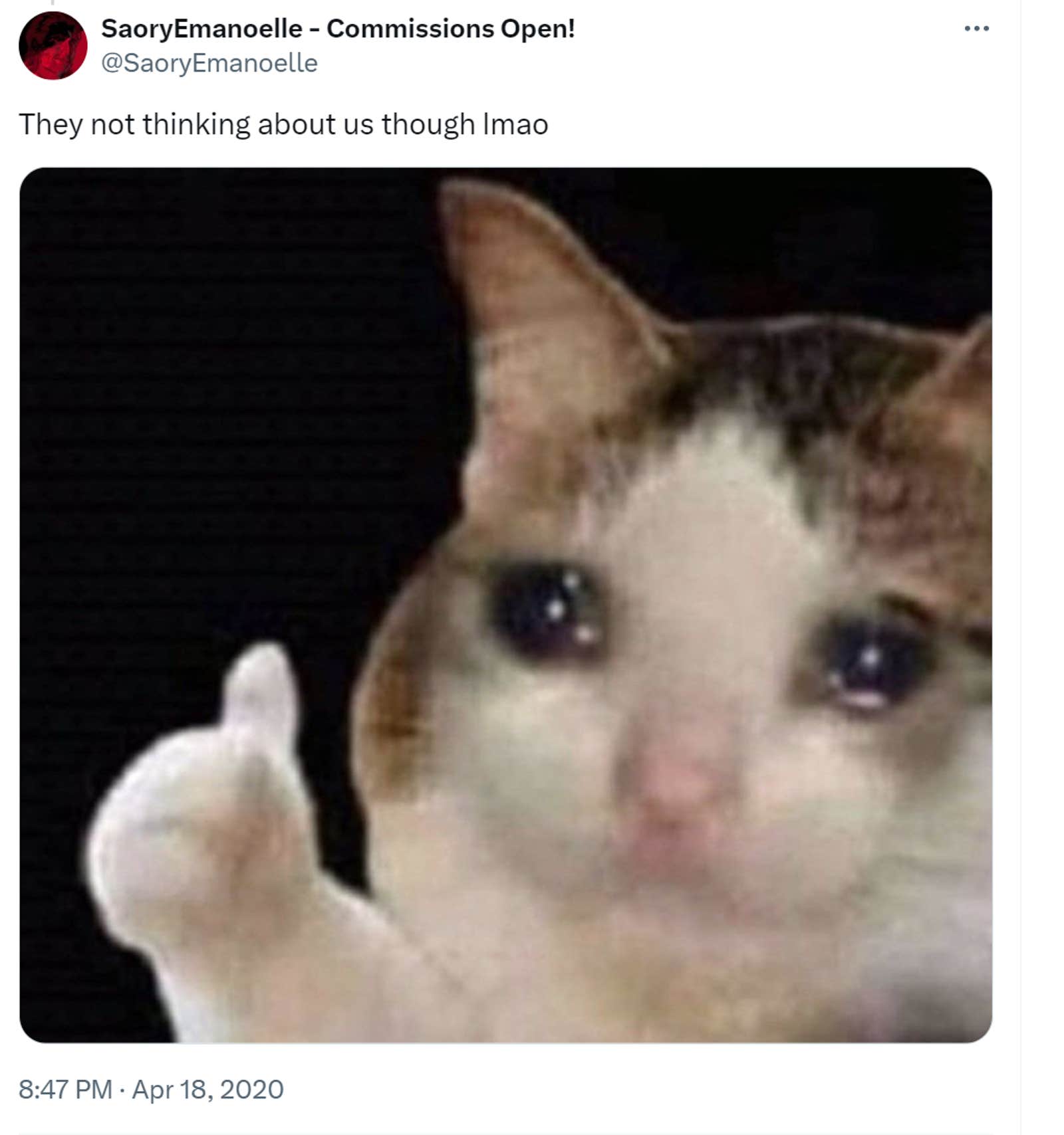 Crying Cat Thumbs Up Meme Origins, History, And Spread