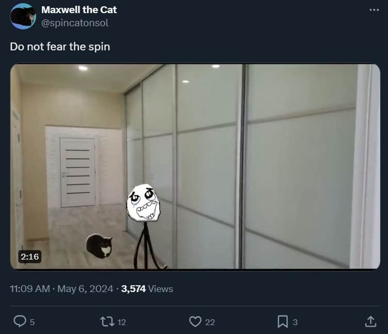 Maxwell The Cat Is A Legend Among Gamers