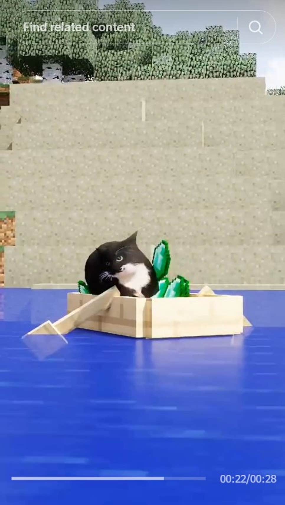 Maxwell The Cat Is A Legend Among Gamers