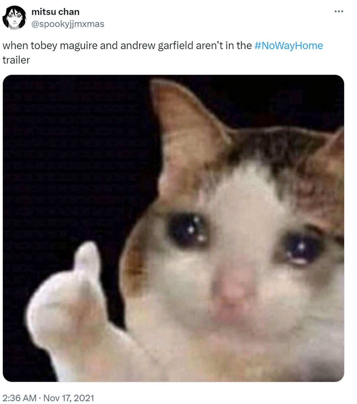 Crying Cat Thumbs Up Meme Origins, History, And Spread
