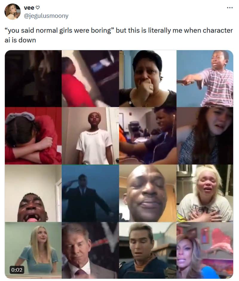 You Said Normal Girls Were Boring But Then...It Was A Meme