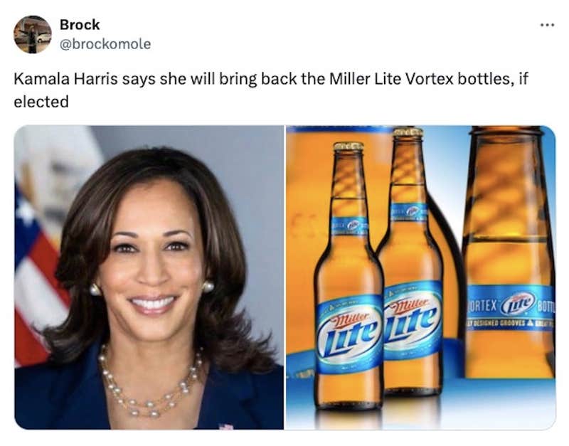 Kamala Harris Has Announced That, If Elected: A Meme