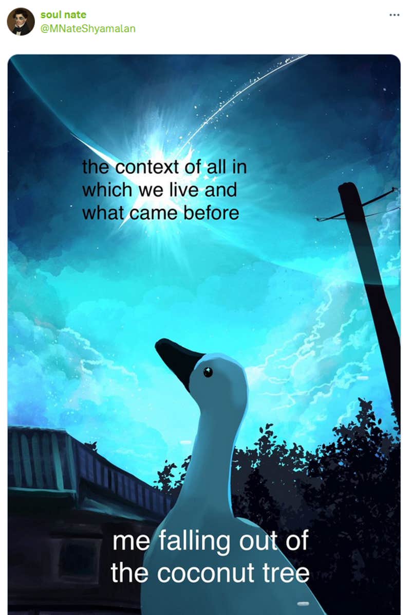 Coconut Tree Meme: Kamala Harris And Existing In The Context