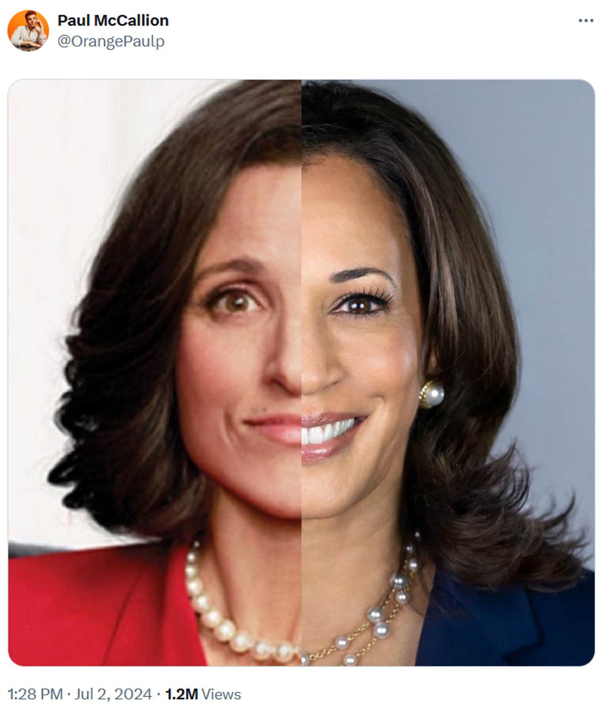 Coconut Tree Meme: Kamala Harris And Existing In The Context