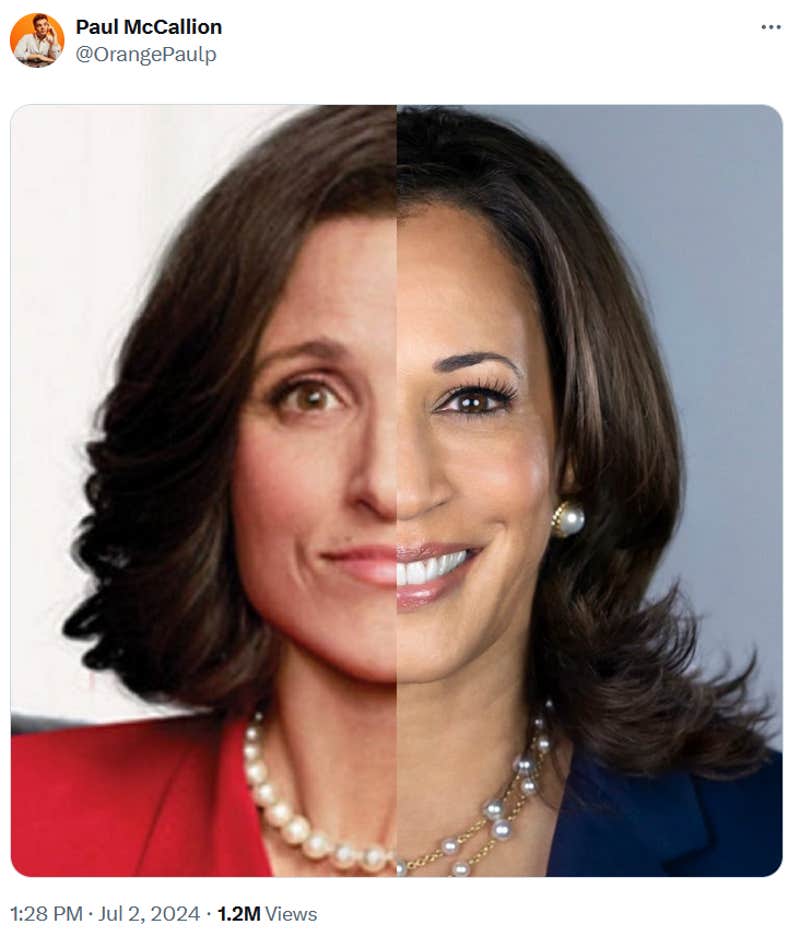 Coconut Tree Meme: Kamala Harris And Existing In The Context